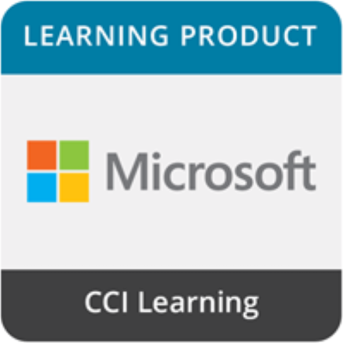 Excel – Sunrise Institute